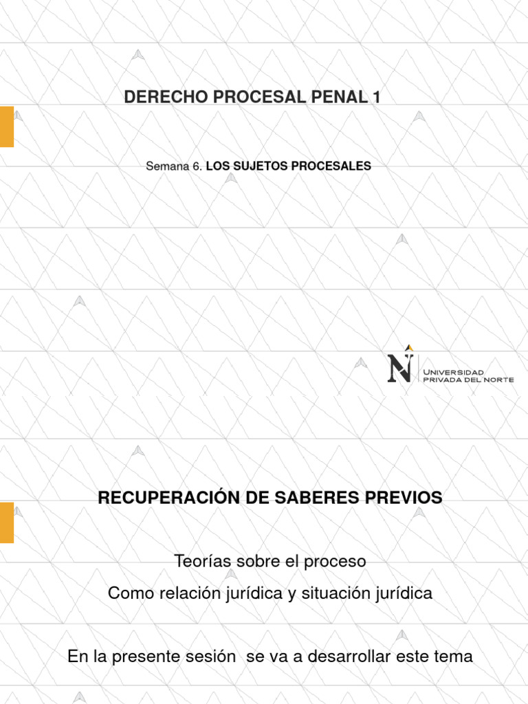 Los Sujetos Procesales. | PDF
