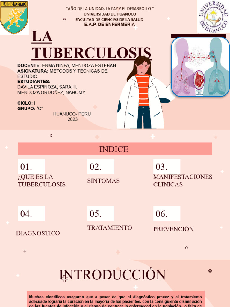 Información Esencial sobre Tuberculosis | PDF | Tuberculosis | Ciencias ...
