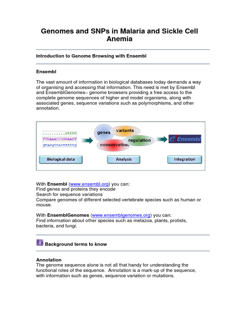 Guia Genetics Exercises Ensembl | PDF | Gene | Genome