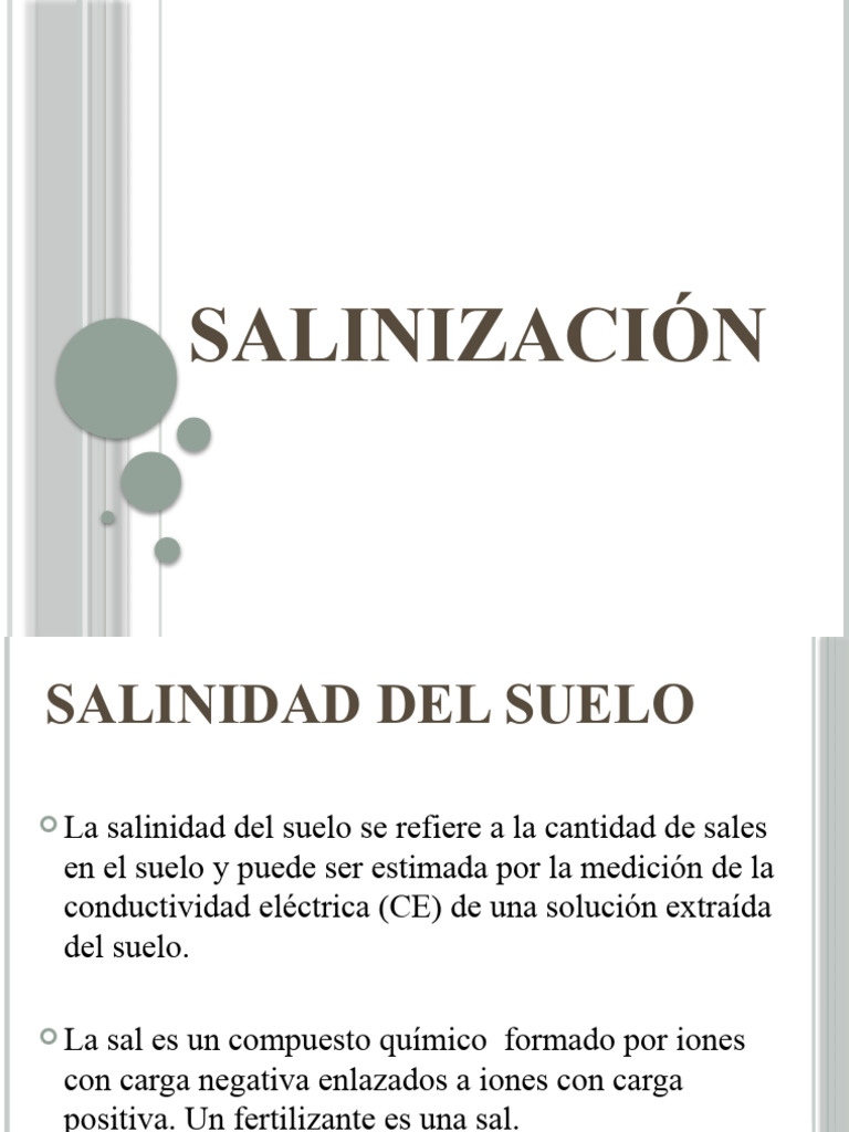 Salinización y Sodificación | Descargar gratis PDF | Sal (química) | Riego