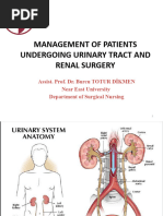 Loopogram Procedure for Urinary Diversion | PDF | Surgery | Surgical ...