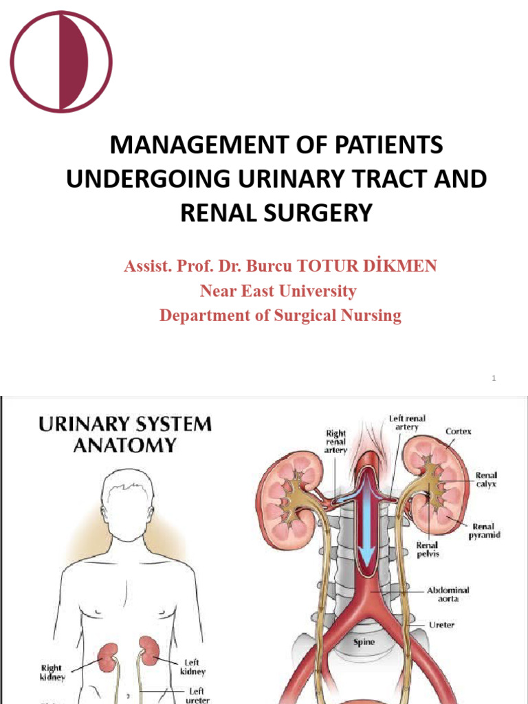 Urinary Tract Surgery Nursing Care | PDF | Urinary System | Kidney