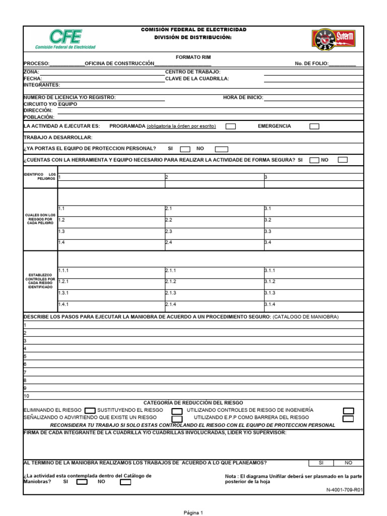 Formato Rim Actualizado | PDF
