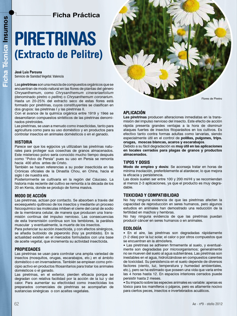 Pire Trin As | PDF | Ciencia y matemáticas