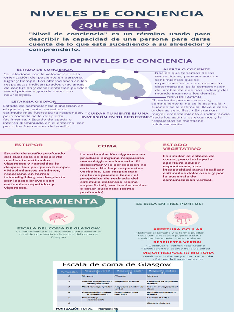 Infografía Niveles de Conciencia | PDF | Coma | Ciencia cognitiva