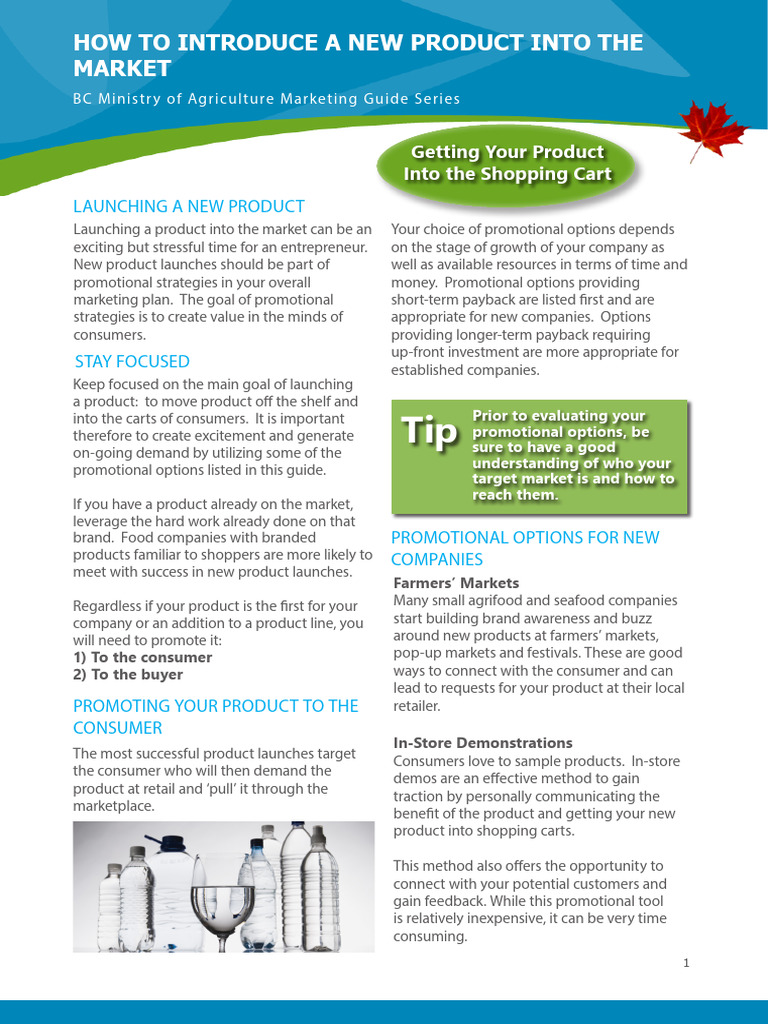 How to Introduce a New Product Into the Market | PDF | Marketing | Retail