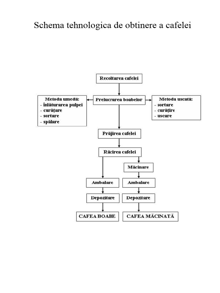 Schema Tehnologica de Obtinere A Cafelei | PDF