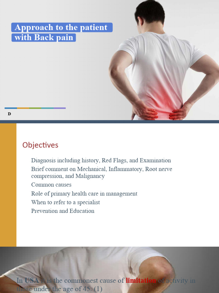 Approach To Low Back Pain | PDF | Back Pain | Low Back Pain
