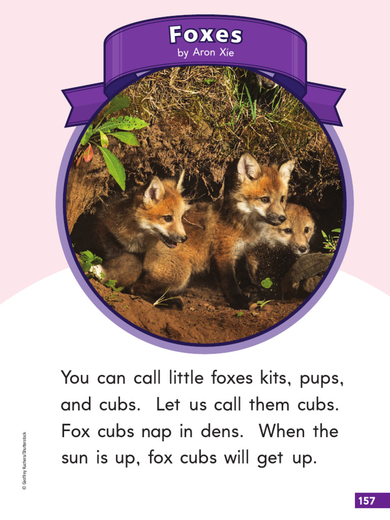 Foxes | PDF