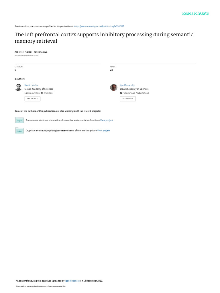 The Left Prefrontal Cortex | PDF | Prefrontal Cortex | Working Memory