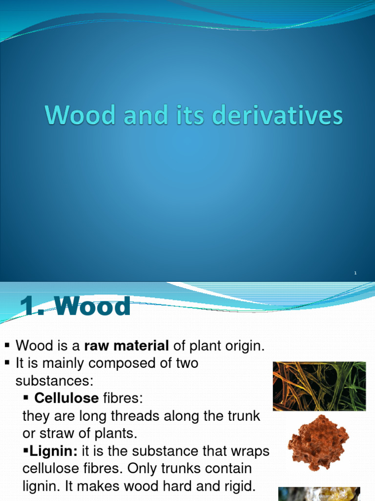 Wood and Its Derivatives | PDF | Wood | Trees