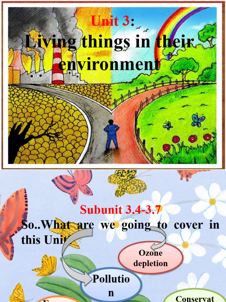 Unit 3-Living Things in Their Environment - (3.4-3.7) | PDF | Air ...