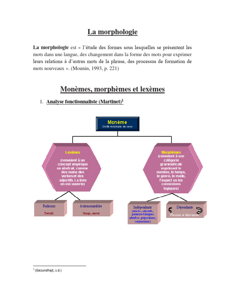 Comprendre la morphologie des mots | PDF | Linguistique | Morphologie ...