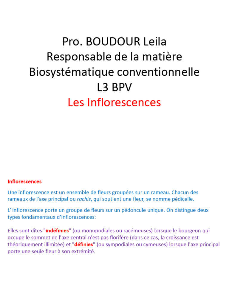 Les Inflorescences | PDF | Fleurs | Morphologie végétale