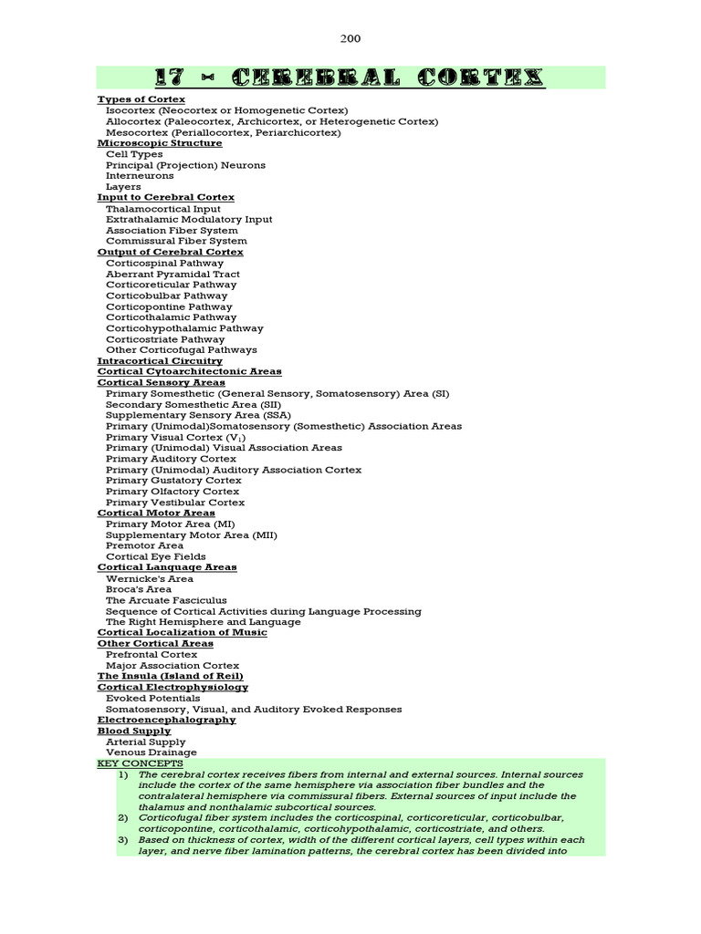 The Cerebral Cortex | PDF | Cerebral Cortex | Thalamus