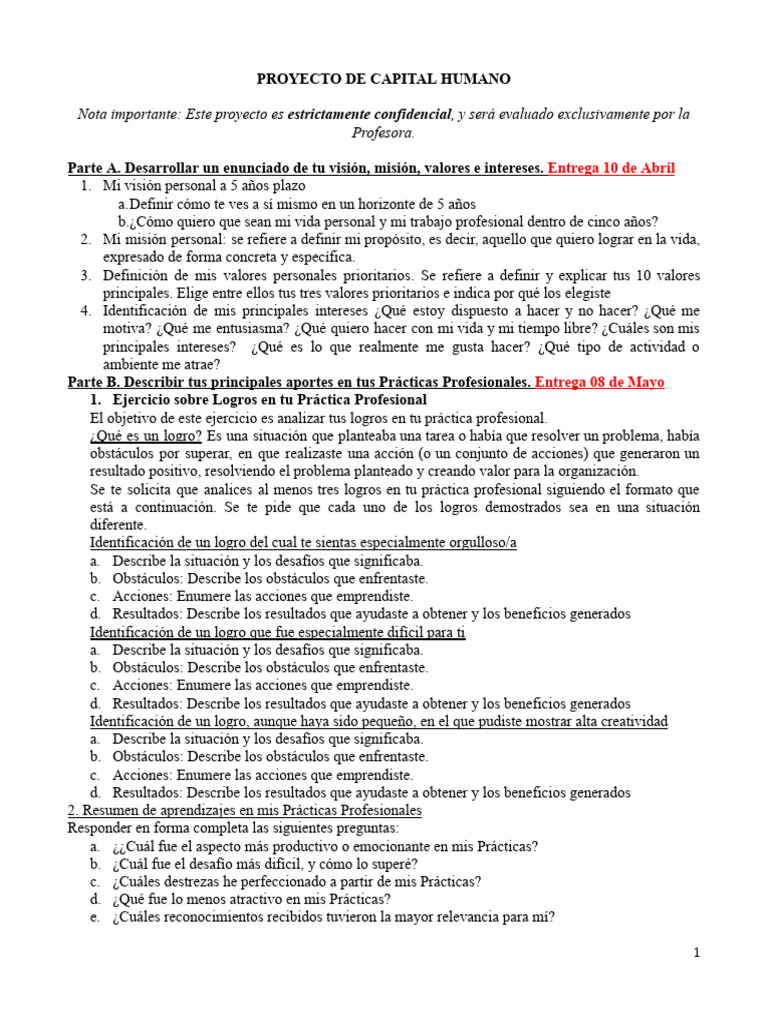 Proyecto Capital Humano | PDF | Marca