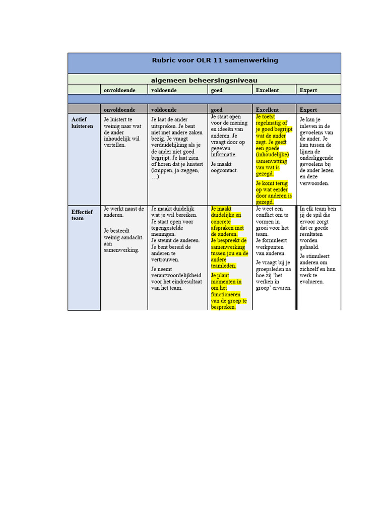 Rubric Voor Olr 11 Samenwerking | PDF
