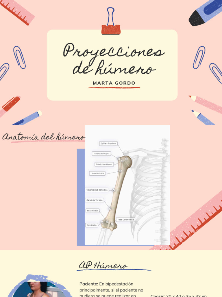 Húmero | PDF | Codo | Hombro