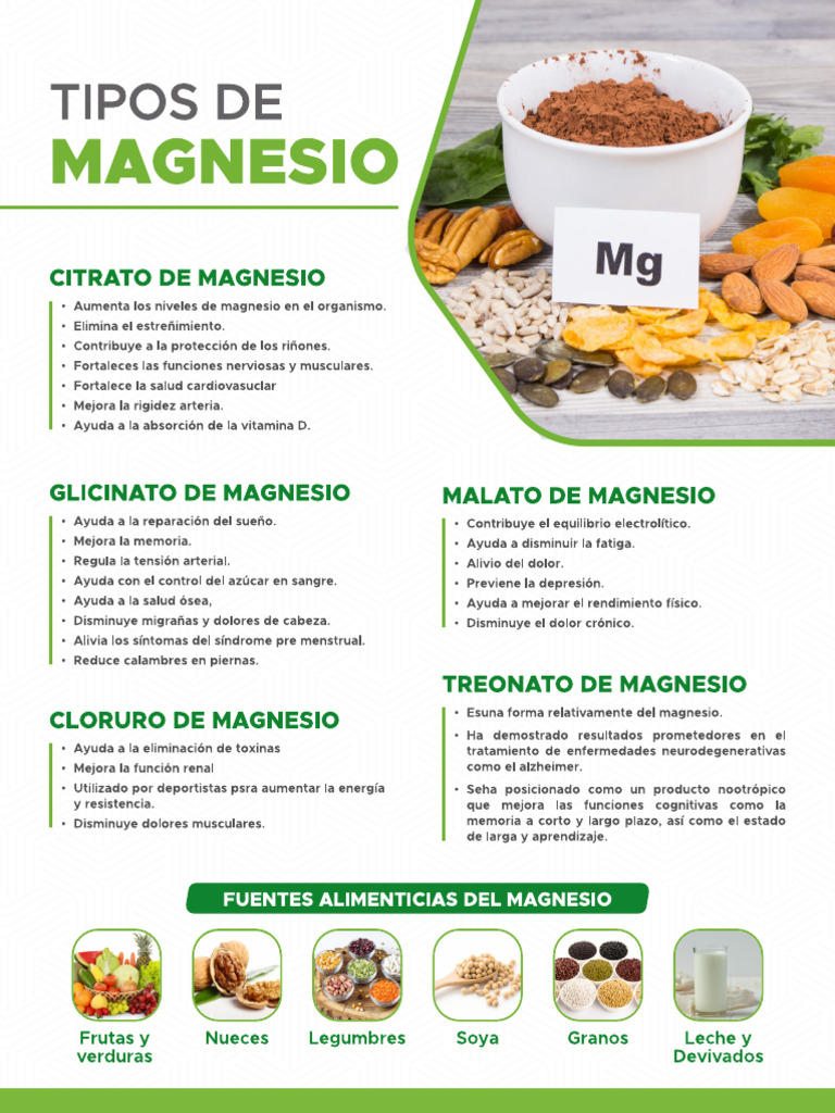 Tipos de Magnesio (1) | PDF