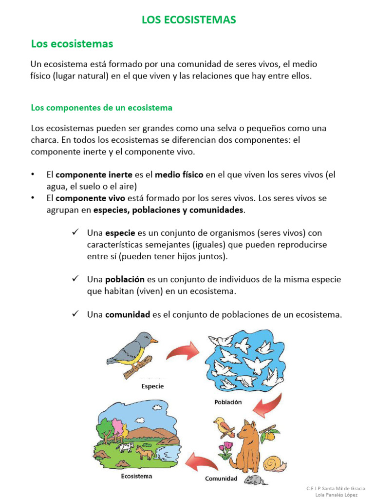 Componentes y relaciones en ecosistemas | PDF | Ecosistema | Biodiversidad