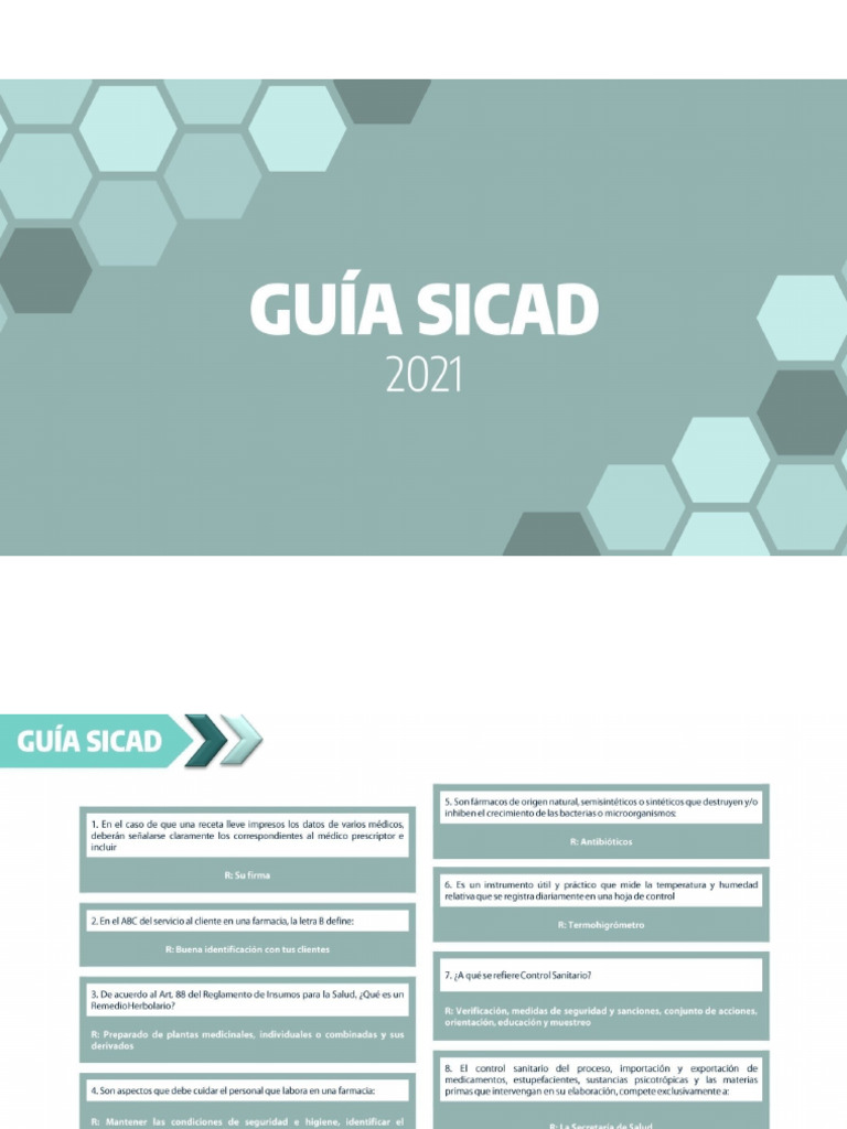 Guía Sicad 2021-Salida | PDF