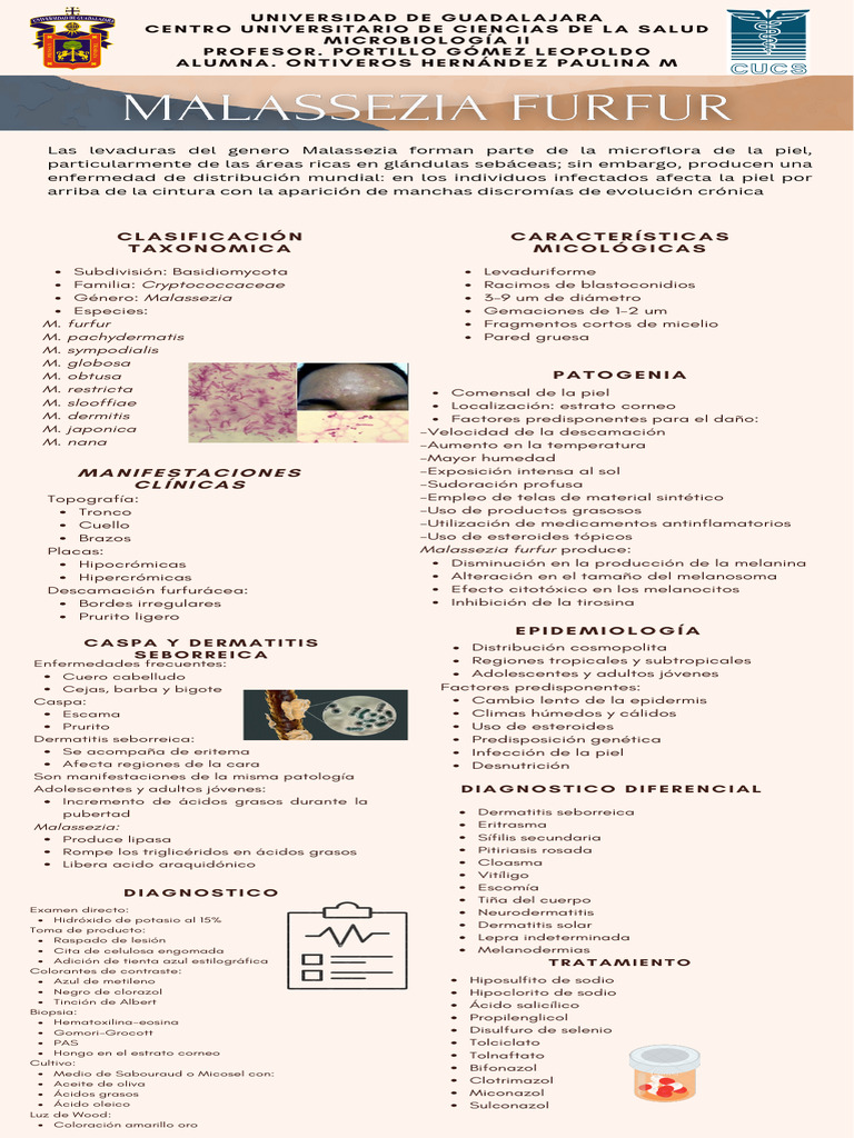 Características y Tratamiento de Malassezia | PDF | Piel