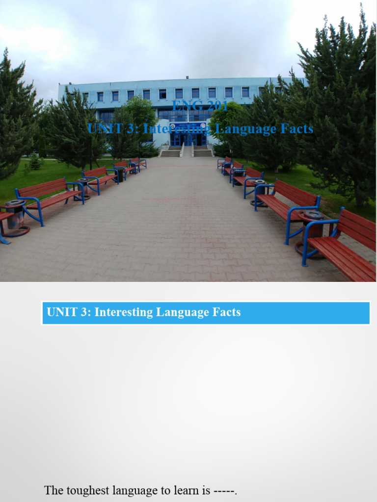 Writing A Reaction Paragraph | PDF | Verb | English Language