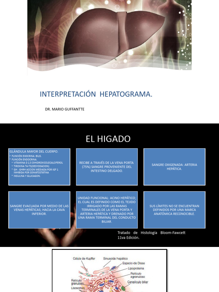 HEPATOGRAMA | Descargar gratis PDF | Hígado | Transaminasa