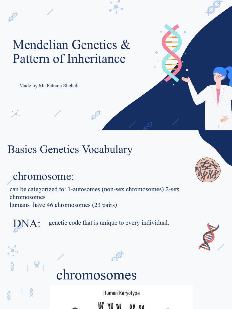 Mendelian Genetics & Pattern of Inheritance | PDF | Dominance (Genetics) | Genotype