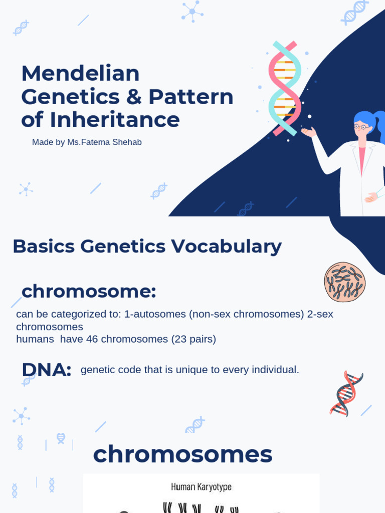 Mendelian Genetics & Pattern of Inheritance | PDF | Dominance (Genetics) | Genotype
