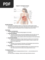 Digestive System Anatomy | PDF | Human Digestive System | Stomach