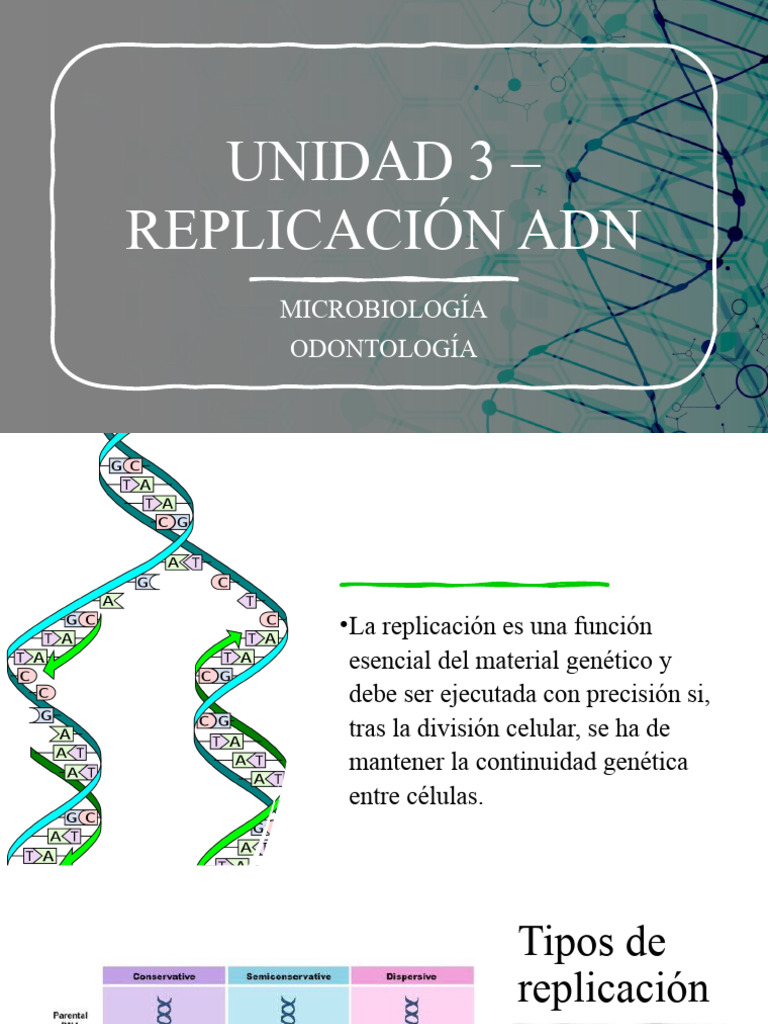 Unidad 3 - Replicación Adn | PDF | Replicación De Adn | Adn