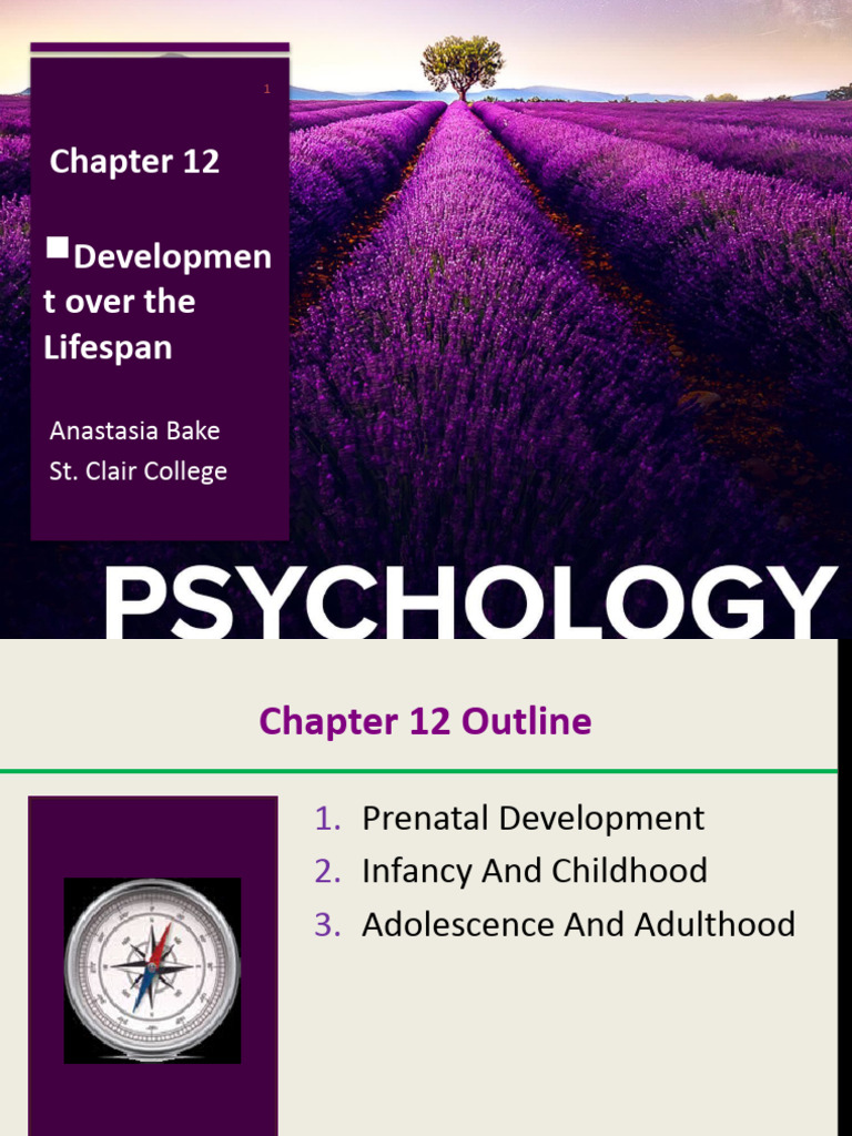 Psychology - Development Over The Lifespan | PDF | Attachment Theory ...