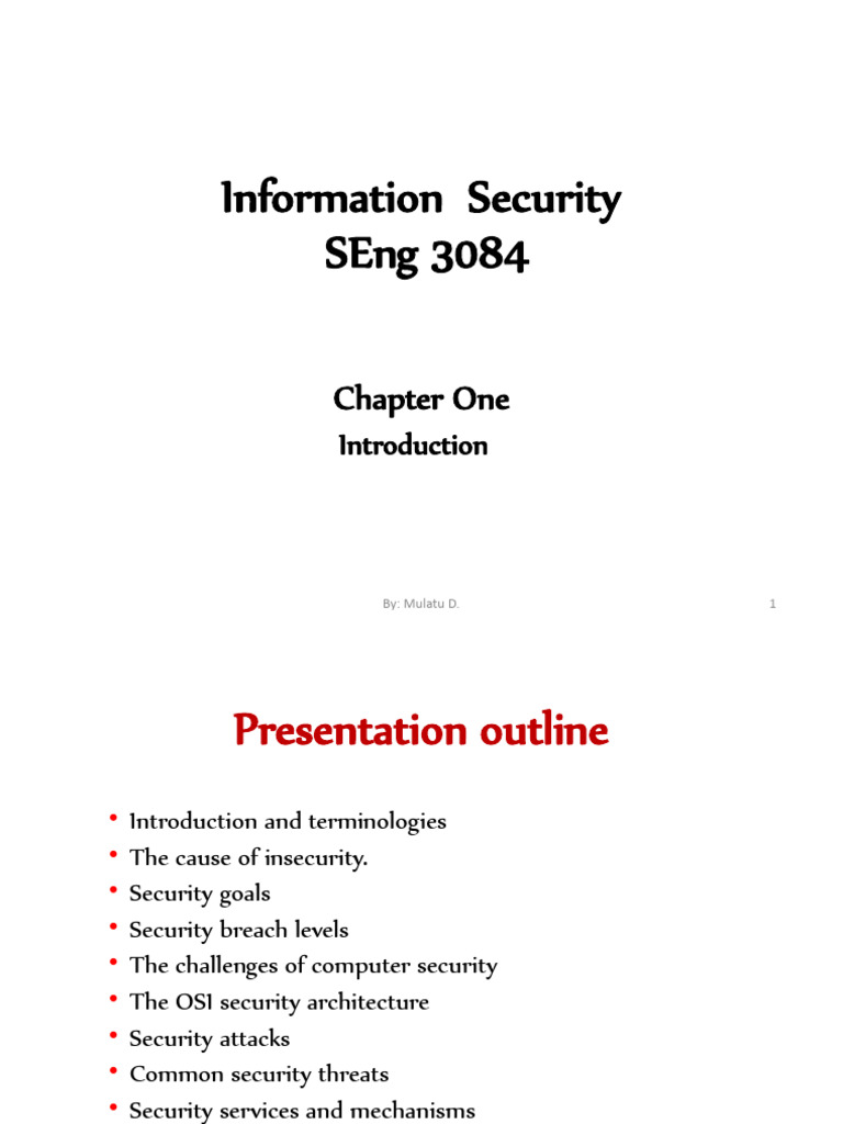 CH 1 Software Security | PDF | Information Security | Computer Security