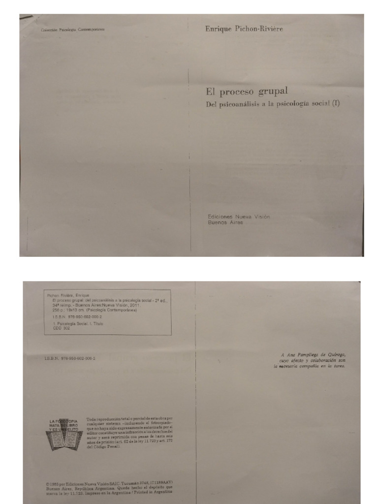 El proceso grupal | PDF