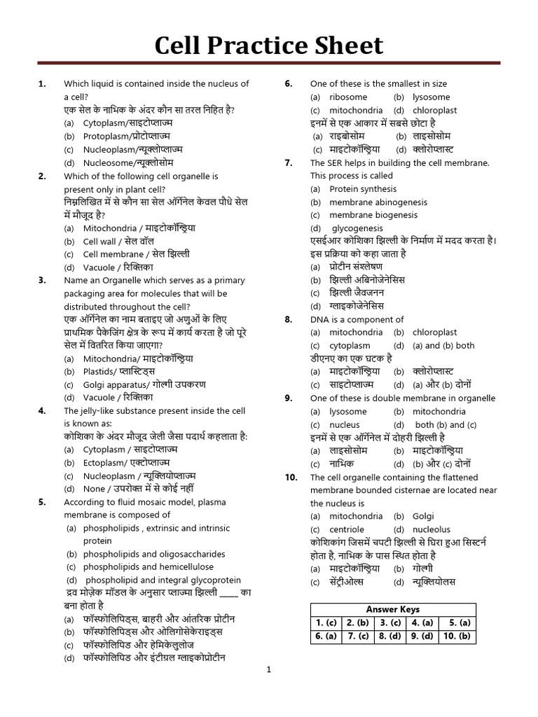 Cell Practice Sheet | PDF
