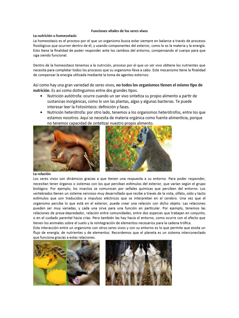 Funciones Vitales de los Seres Vivos | PDF | Metabolismo | Nutrición