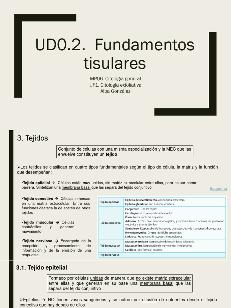 UD0.2. Fundamentos Tisulares. Hasta Óseo | Descargar gratis PDF | Hueso ...