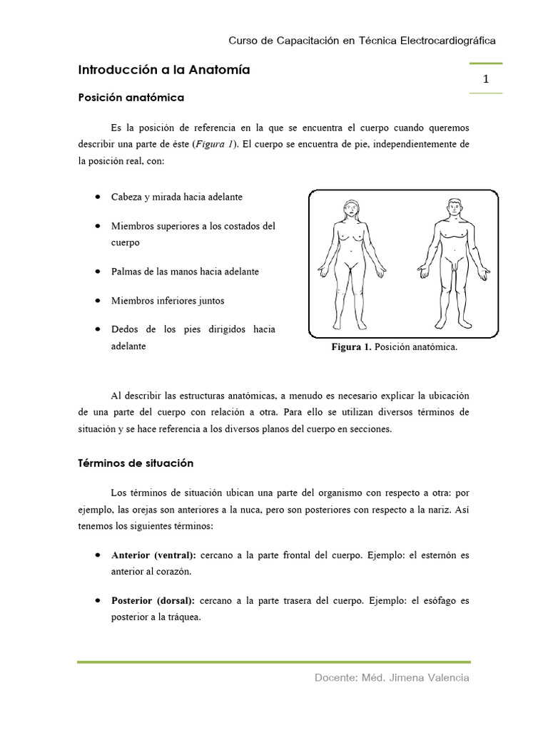 Clase 2 - Introducci-N A La Anatom-A. Caja Tor-Cica | PDF | Tórax | Anatomía