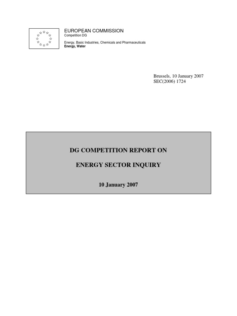 EUROPEAN COMMISSION REPORT REVEALS KEY ISSUES IN ENERGY SECTOR | PDF ...