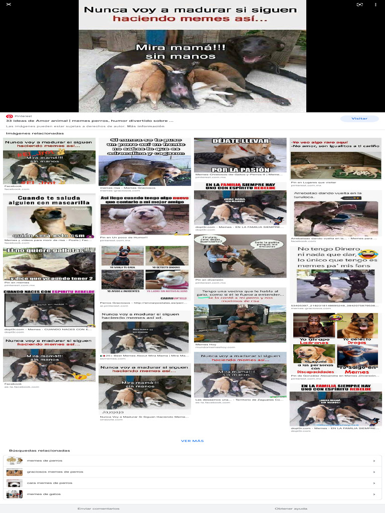 Memes Del Perro Panzon - Búsqueda de Google | PDF