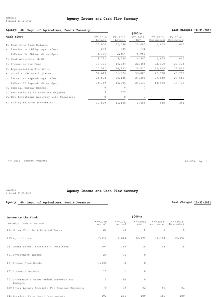 Income and Cash Flow Summary | PDF | Expense | Fiscal Year