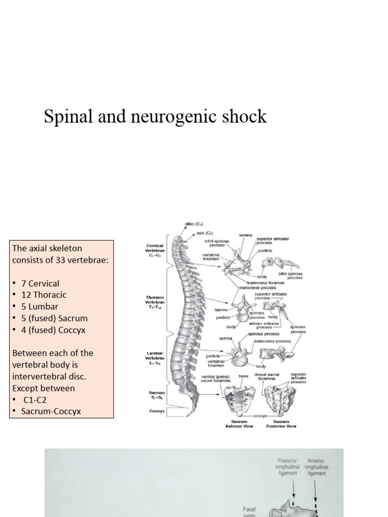 Spinal and Neurogenic Shock - Diagnosis and Management | PDF ...