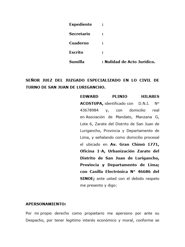Nulidad de Acto Juridico 2024 Lalo | PDF | Demanda judicial | Sentencia (ley)