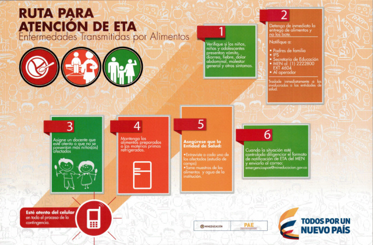 3. Ruta para atención de ETA | PDF