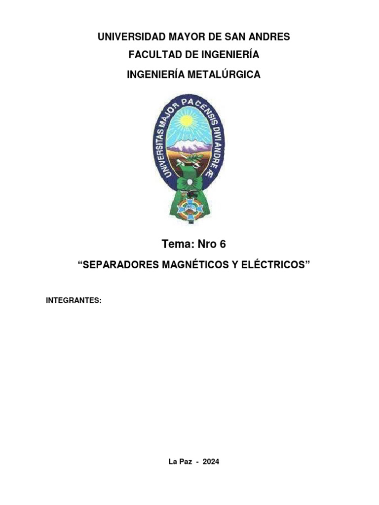 Magnetica Informe | PDF | Imán | Ferromagnetismo