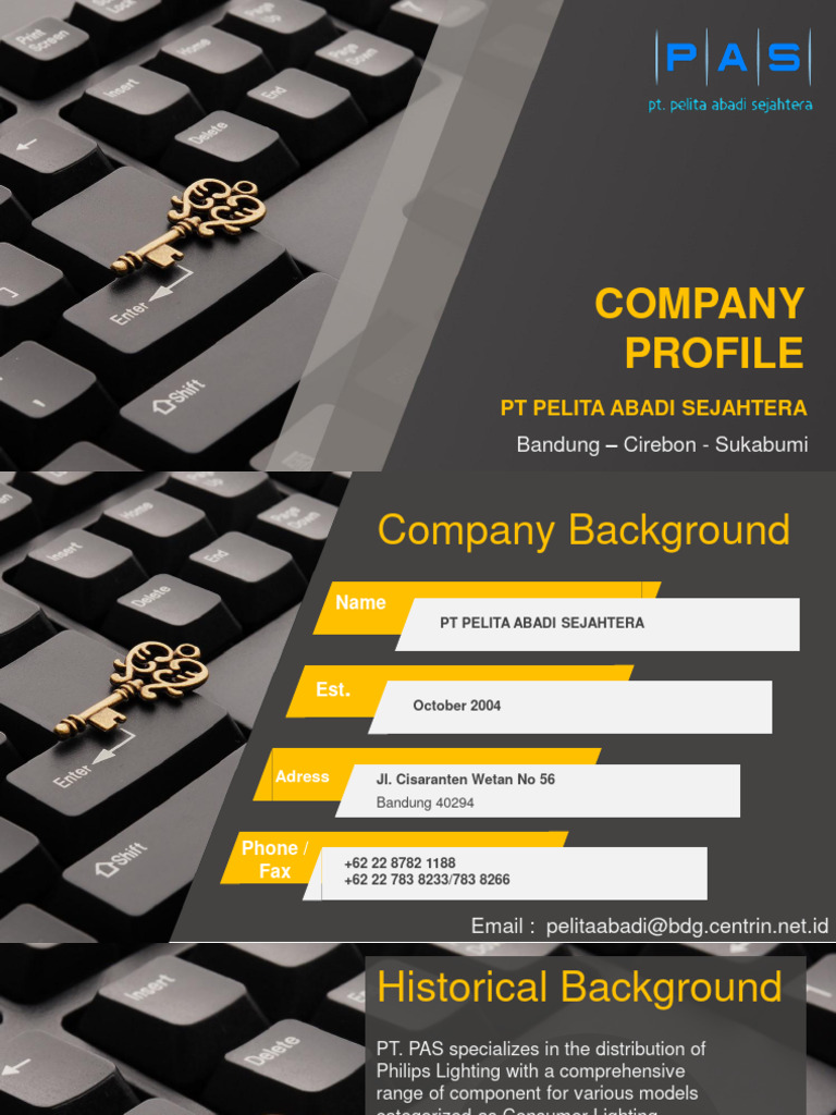 Company Profile PAS GOLD | PDF | Marketing | Business