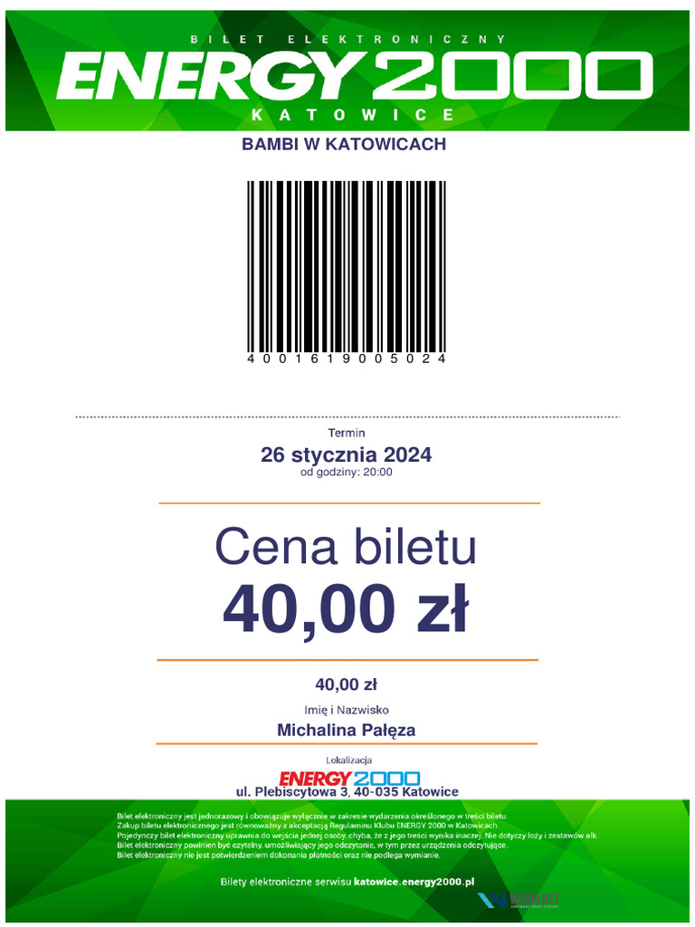 E Ticket | PDF