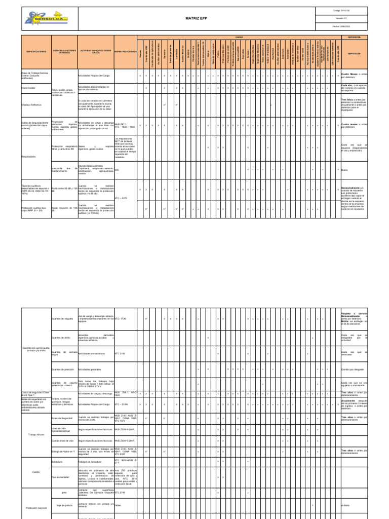 Di-Gi-04 Matriz de Epp | PDF