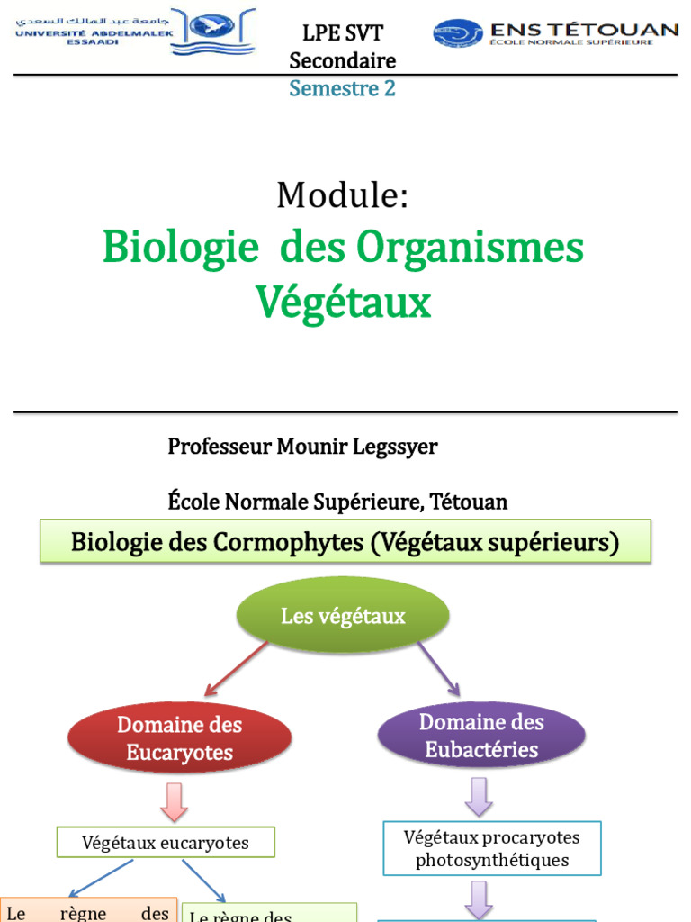 Biologie des Cormophytes à Tétouan | PDF | Feuille | Tige (Plante)